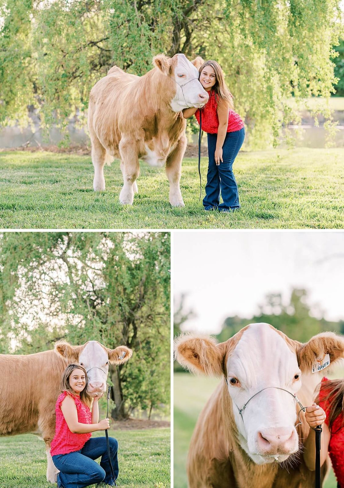 4-H Senior Portraits | Catherine Michele Photography Blog