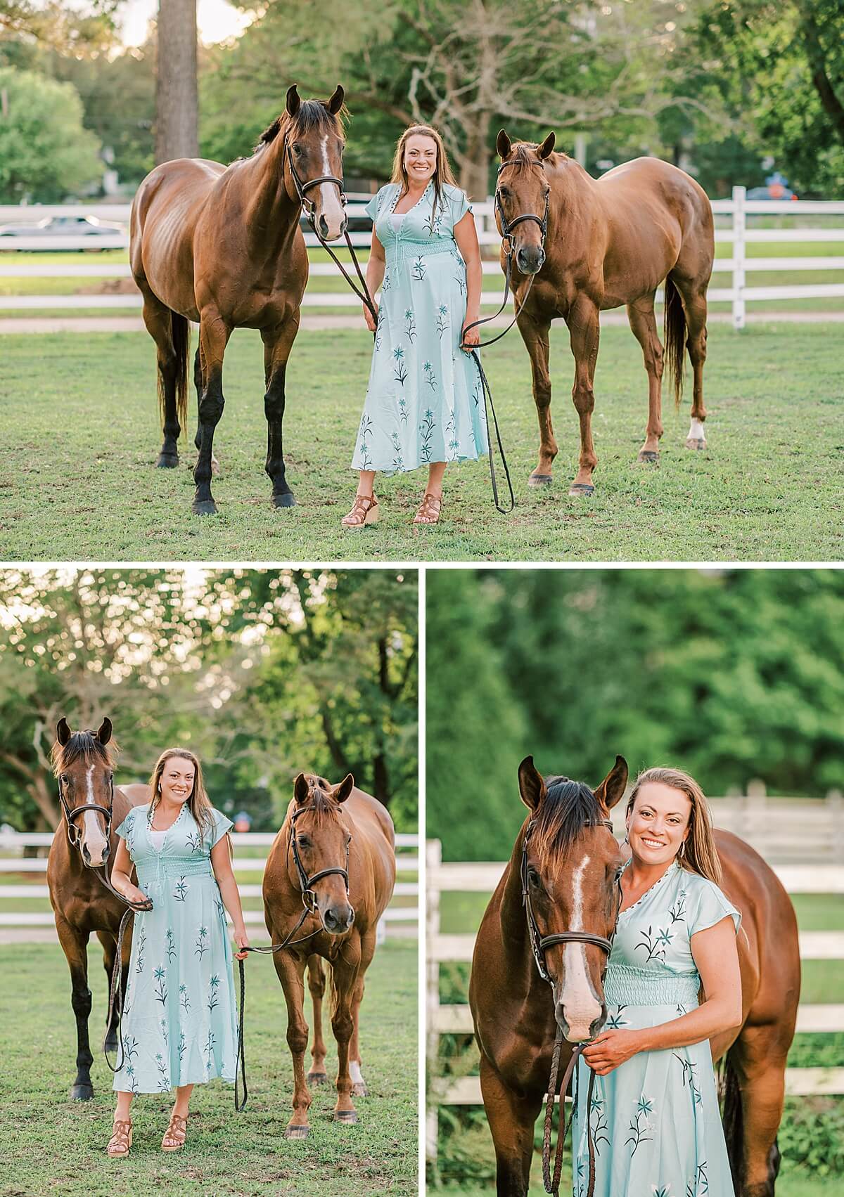 Horse & Dog Photographer | Catherine Michele Photography Blog