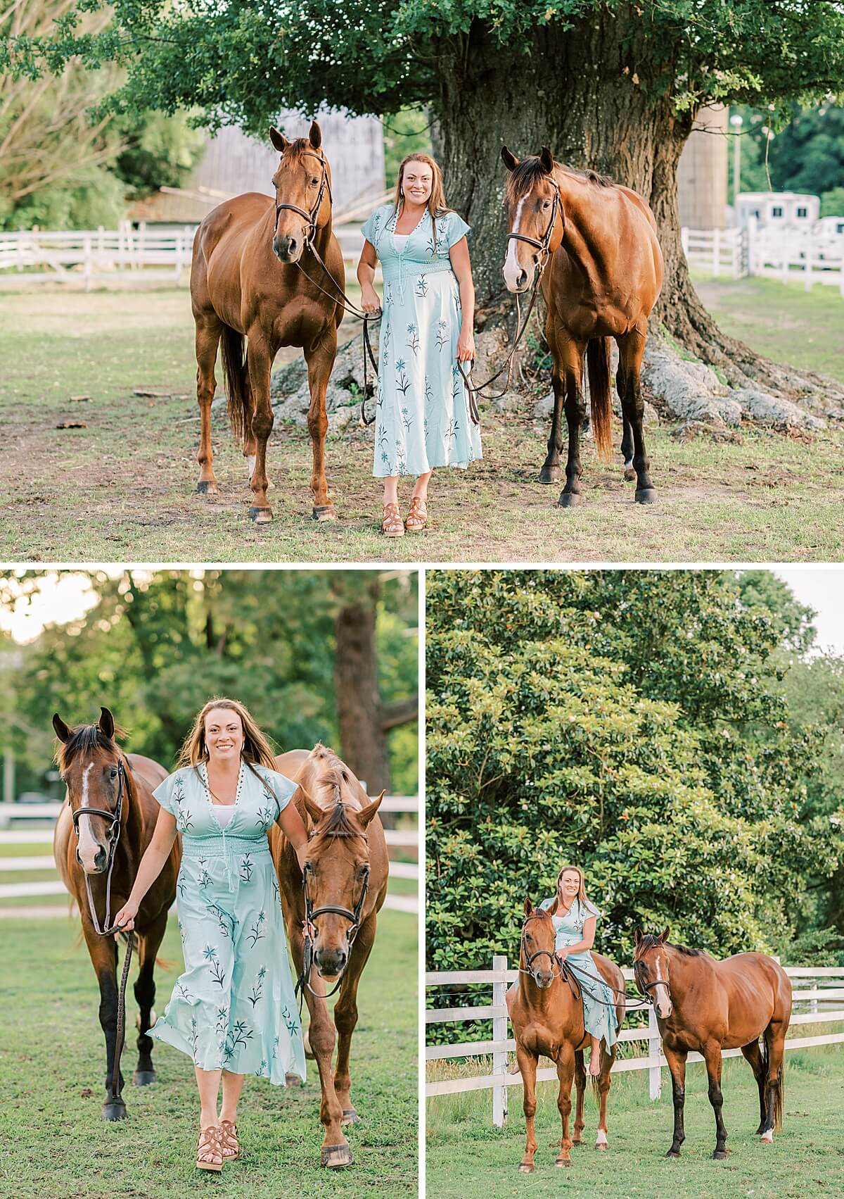 Horse & Dog Photographer | Catherine Michele Photography Blog