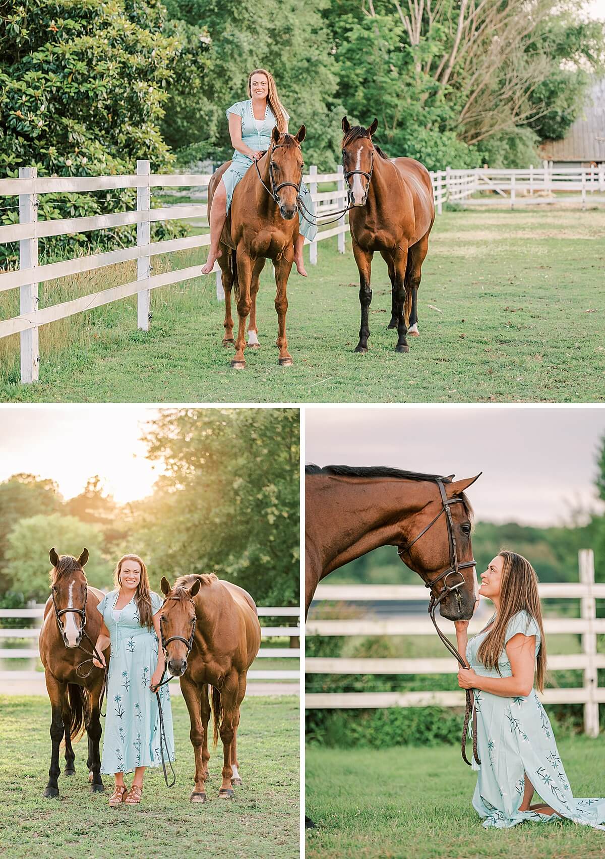 Horse & Dog Photographer | Catherine Michele Photography Blog
