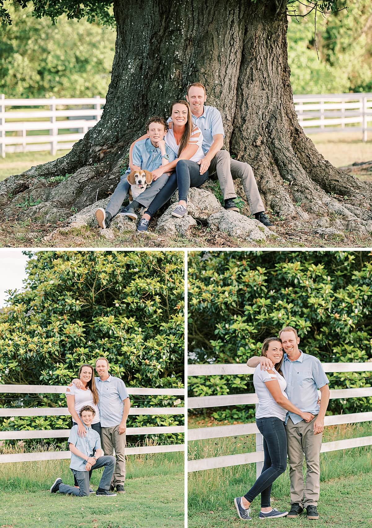 Horse & Dog Photographer | Catherine Michele Photography Blog