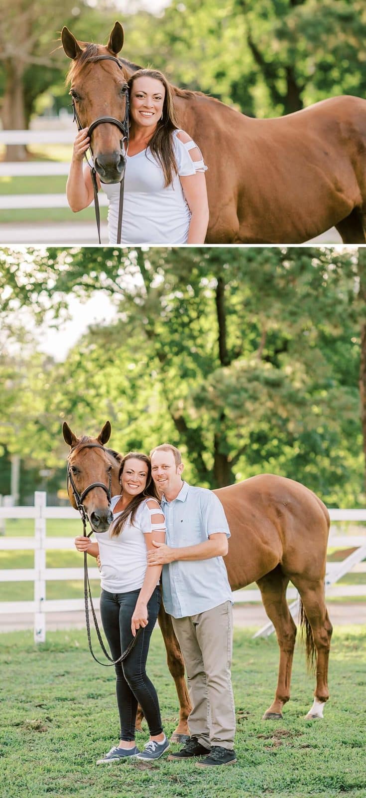 Horse & Dog Photographer | Catherine Michele Photography Blog