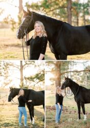 Best Equine Photographer | Catherine Michele Photography Blog