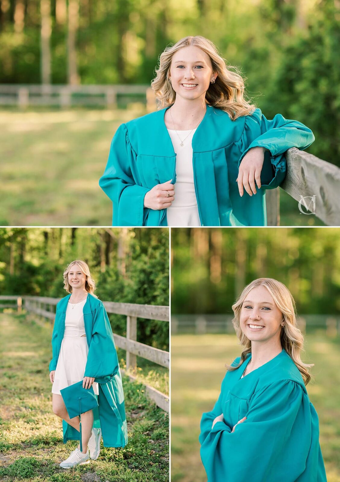 Virginia Beach Equine Photographer | Catherine Michele Photography Blog