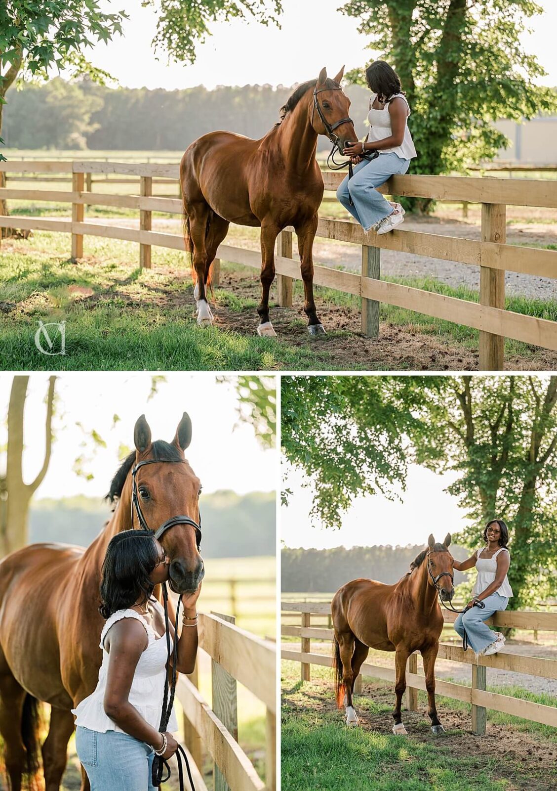 Virginia Equine Photographer | Catherine Michele Photography Blog